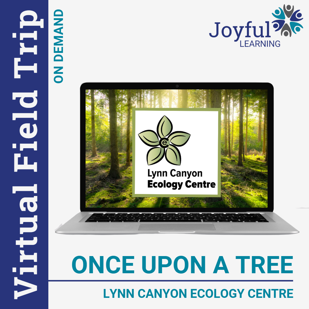 Virtual Field Trip | Lynn Canyon Ecology Centre – Once Upon a Tree | ON ...